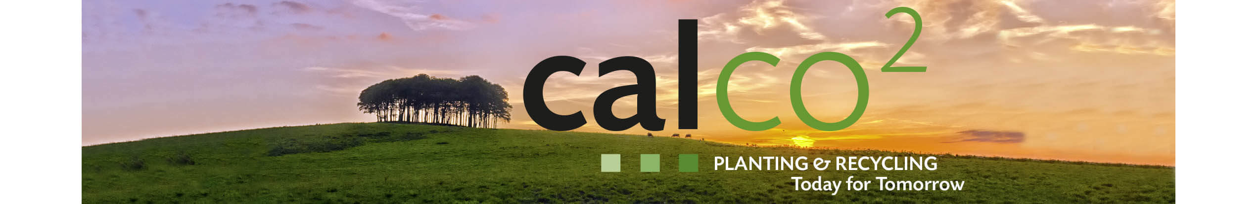 Calco², FSC, Planting Tress in the UK | Calco Paper
